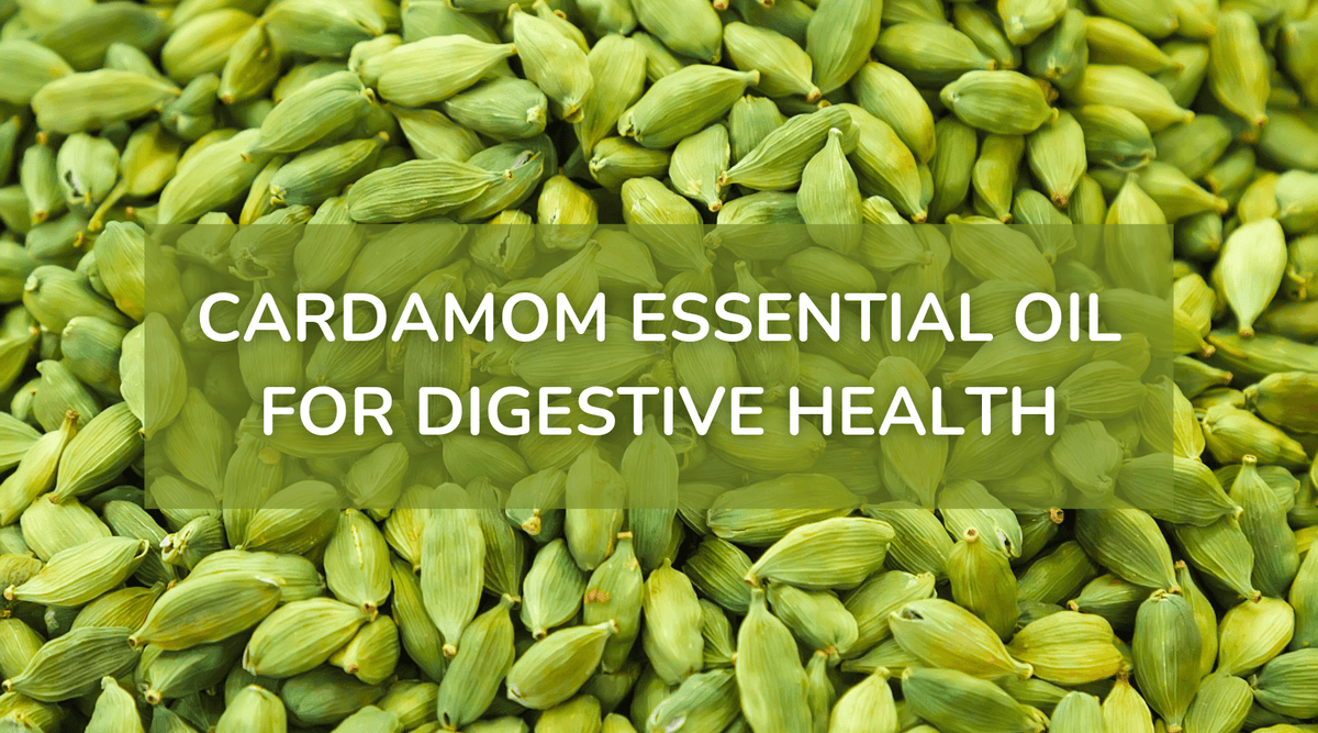 Spice Up Your Digestive Health with Cardamom Essential Oil – APOTHECARY ...