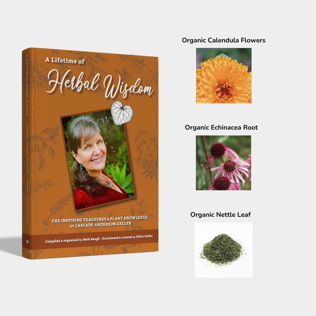 Herbal Wisdom Starter Set – APOTHECARY SHOPPE