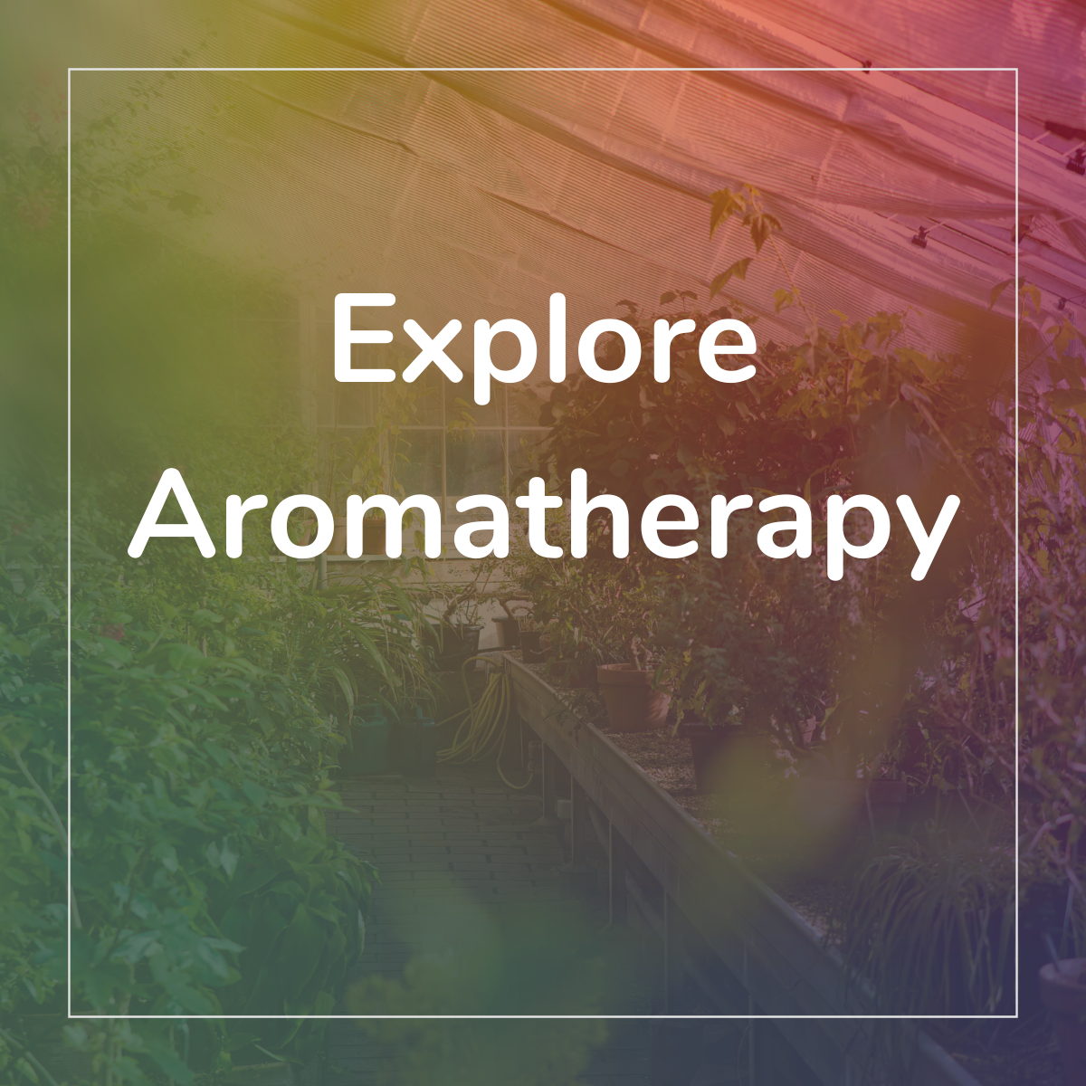 Holistic Aromatherapy for Integrative Health Practical Lab Kit ...